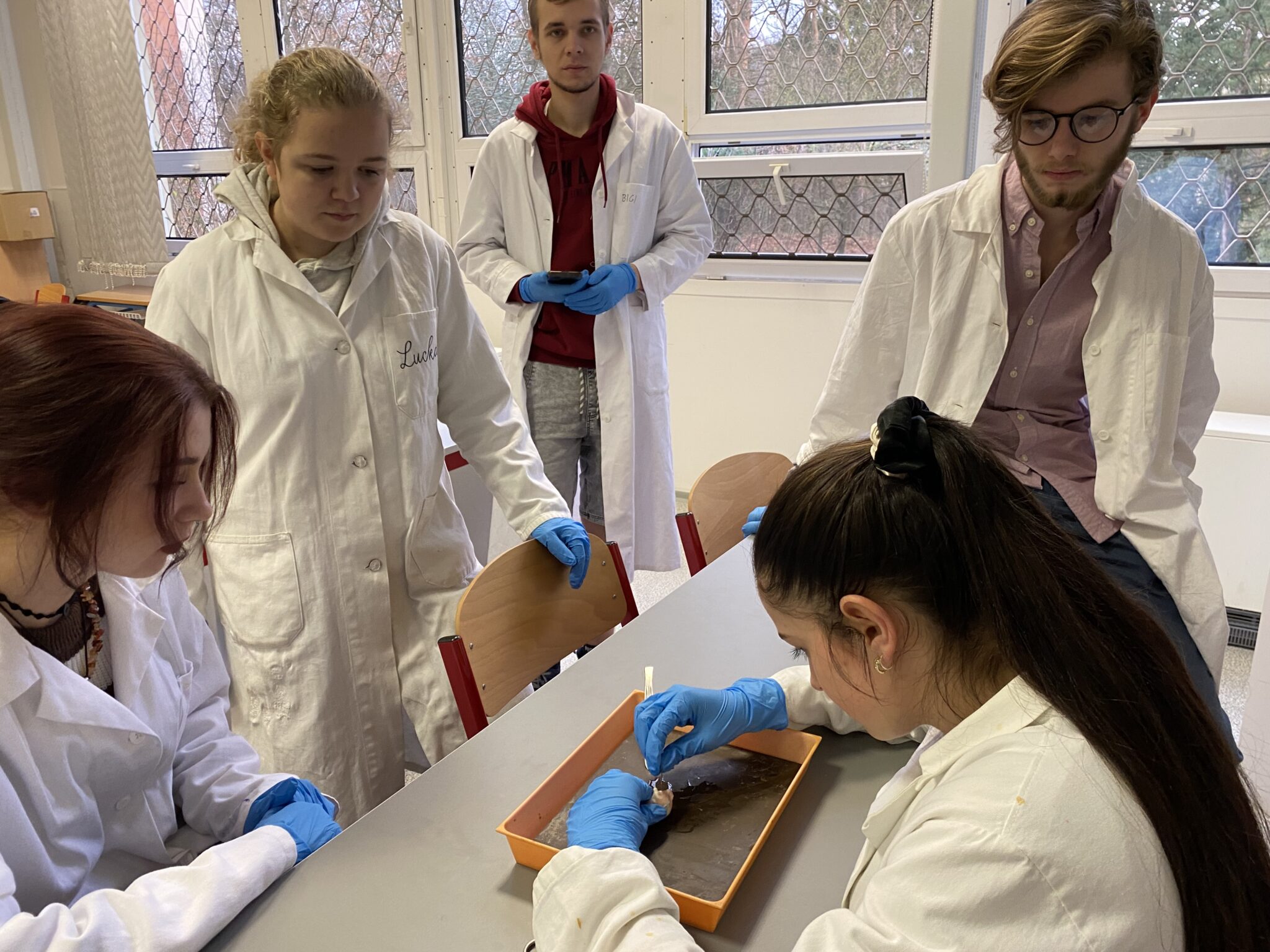 Pitva oka v septimě | Gymnázium Mimoň